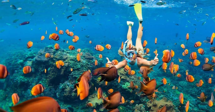 Lodge card and corporate card: what’s the difference?